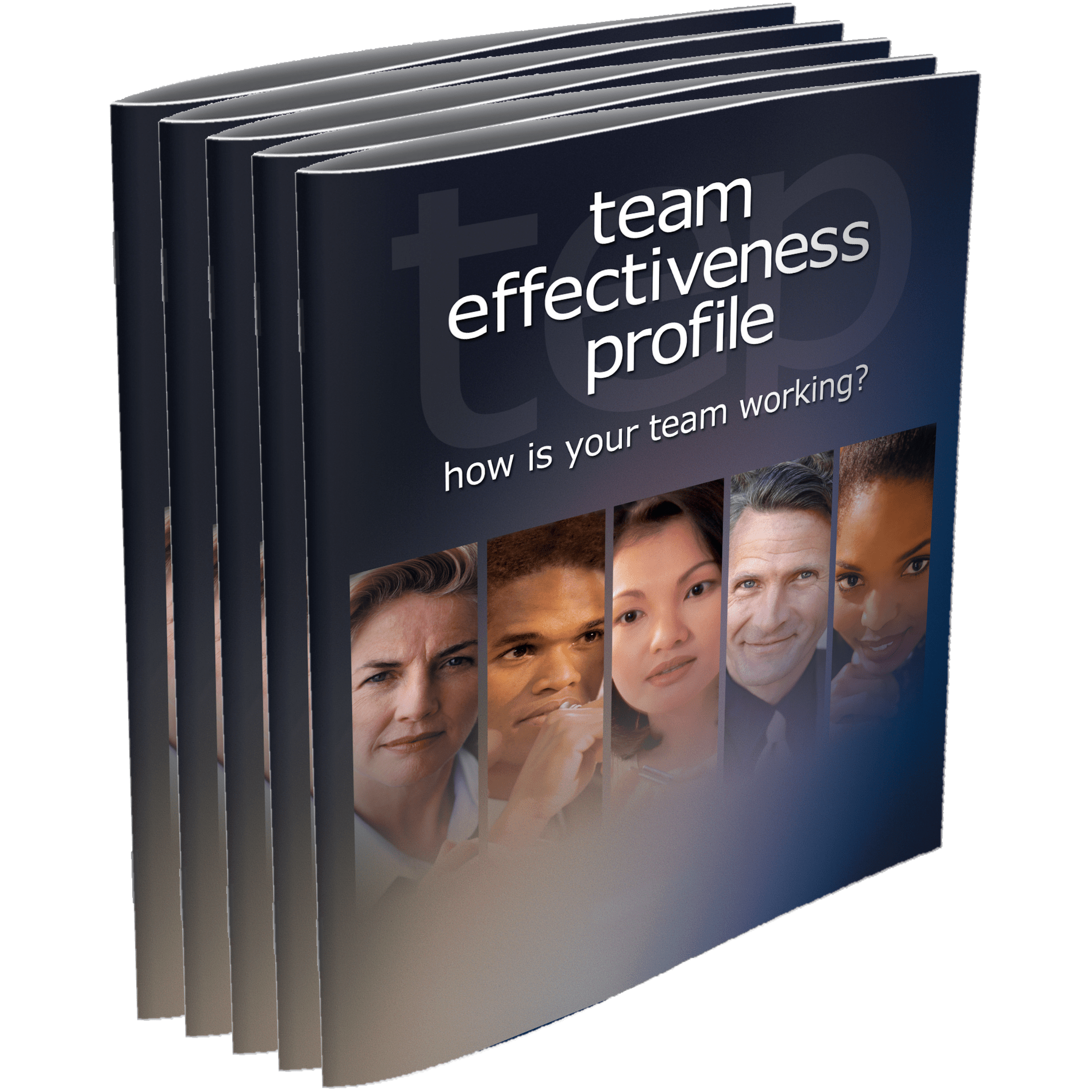 Team Effectiveness Assessment & Workshop | HRDQ - HRDQ